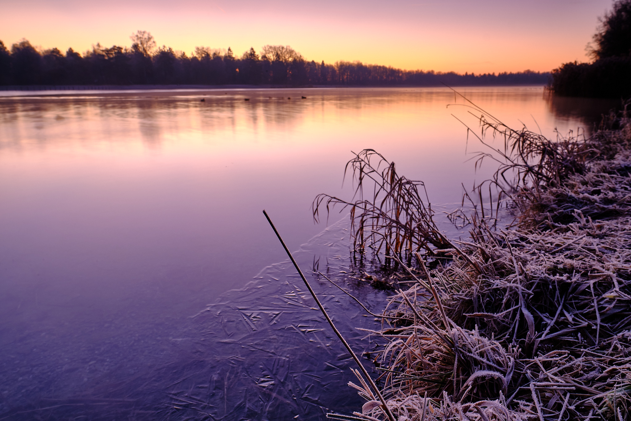 Kuhsee - Christian Burghardt - Fotografie